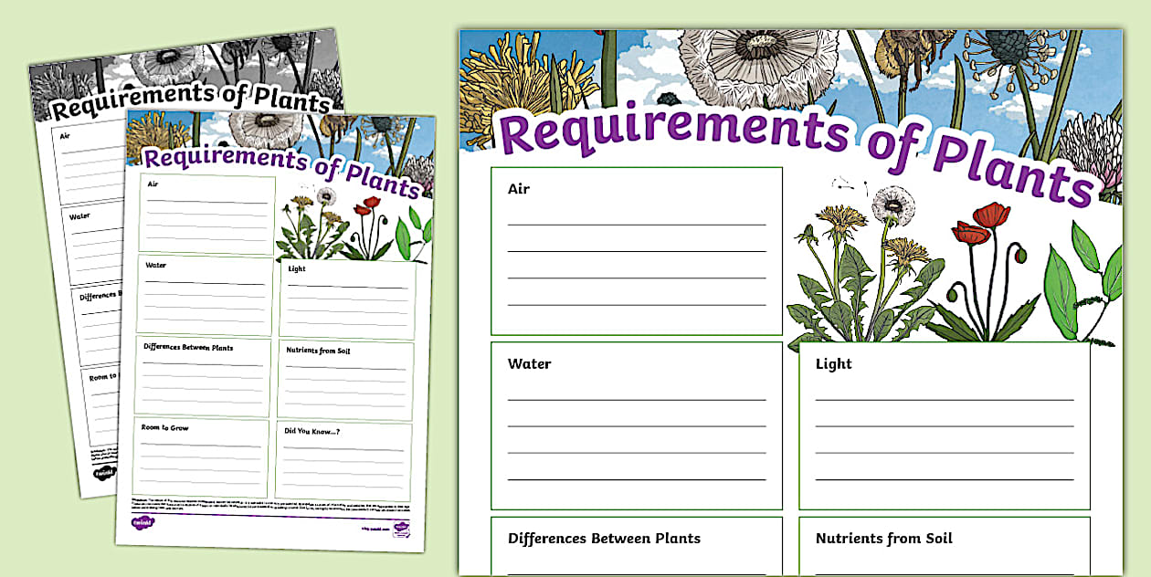 KS2 Requirements of Plants Fact File Template - Twinkl