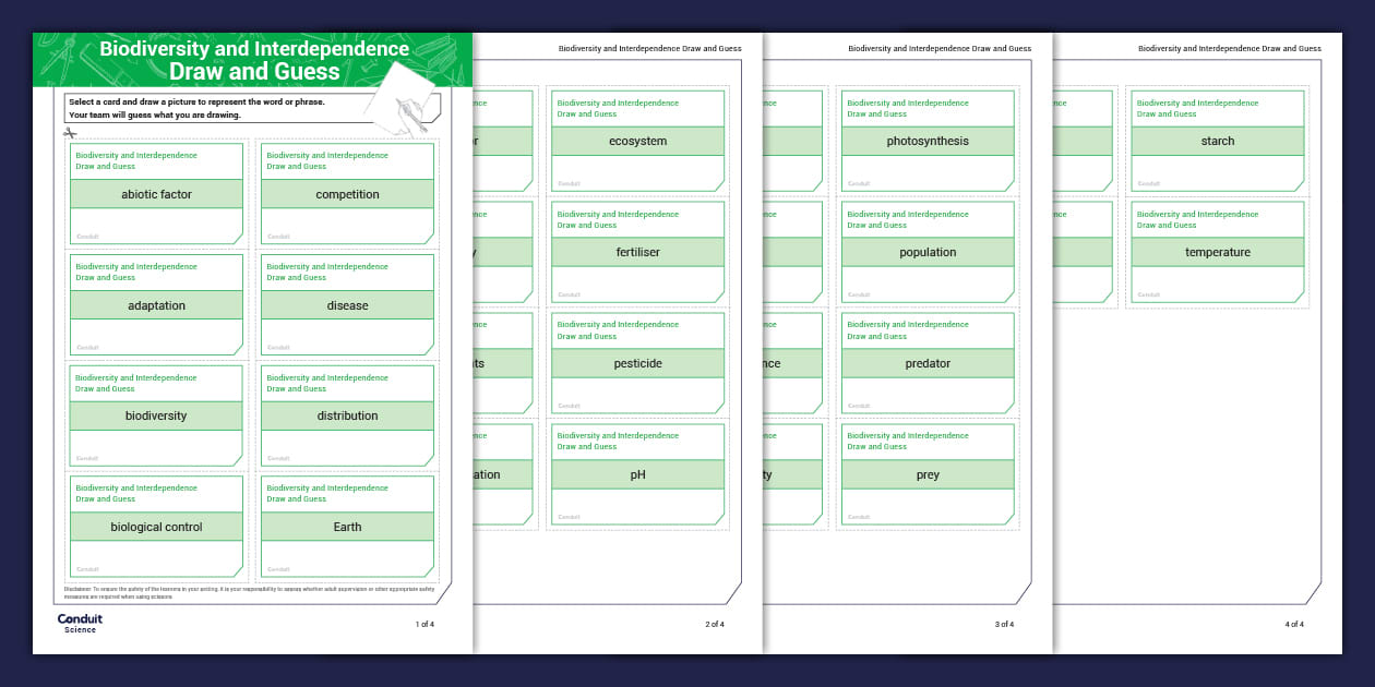 Biodiversity and Interdependence: Draw and Guess - Twinkl