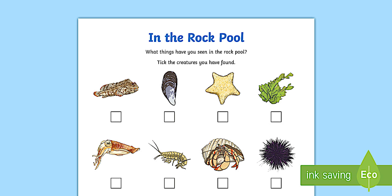 In a Rock Pool Checklist Worksheet / Worksheet - Twinkl