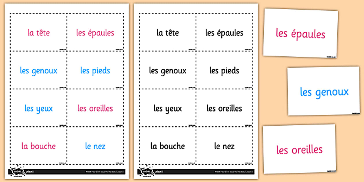 Black and White Heads Shoulders Knees and Toes - Flashcards (in French)