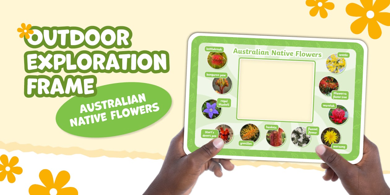 Outdoor Exploration Frame - Australian Native Flowers