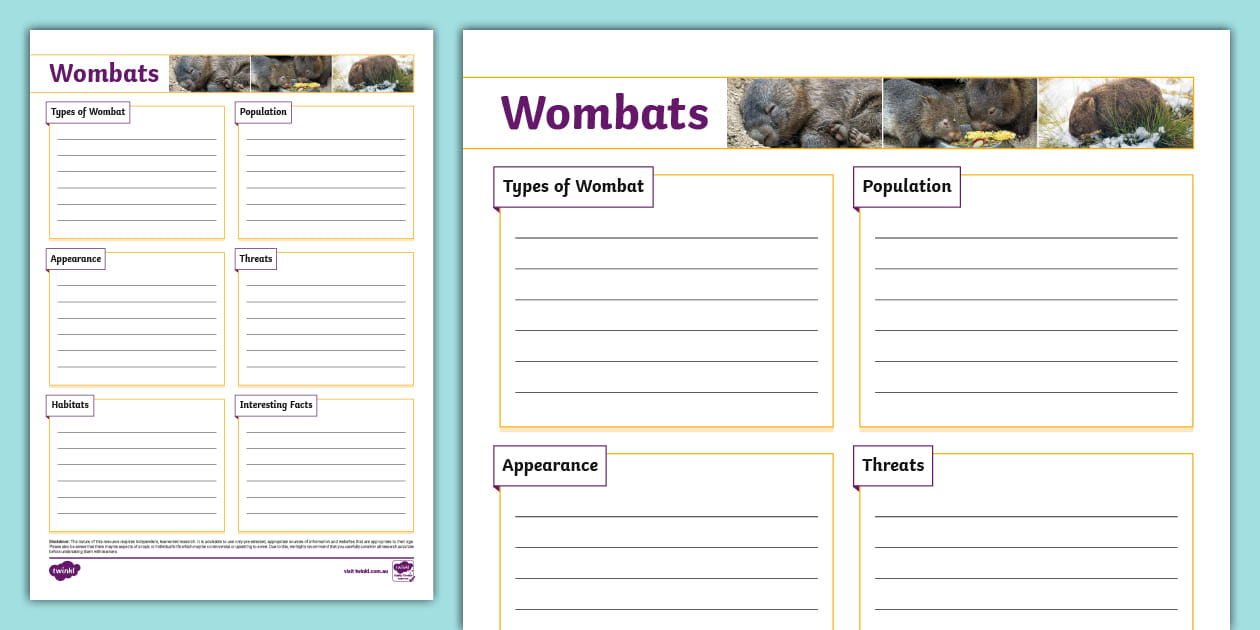 Wombats Fact File Template (professor feito) - Twinkl