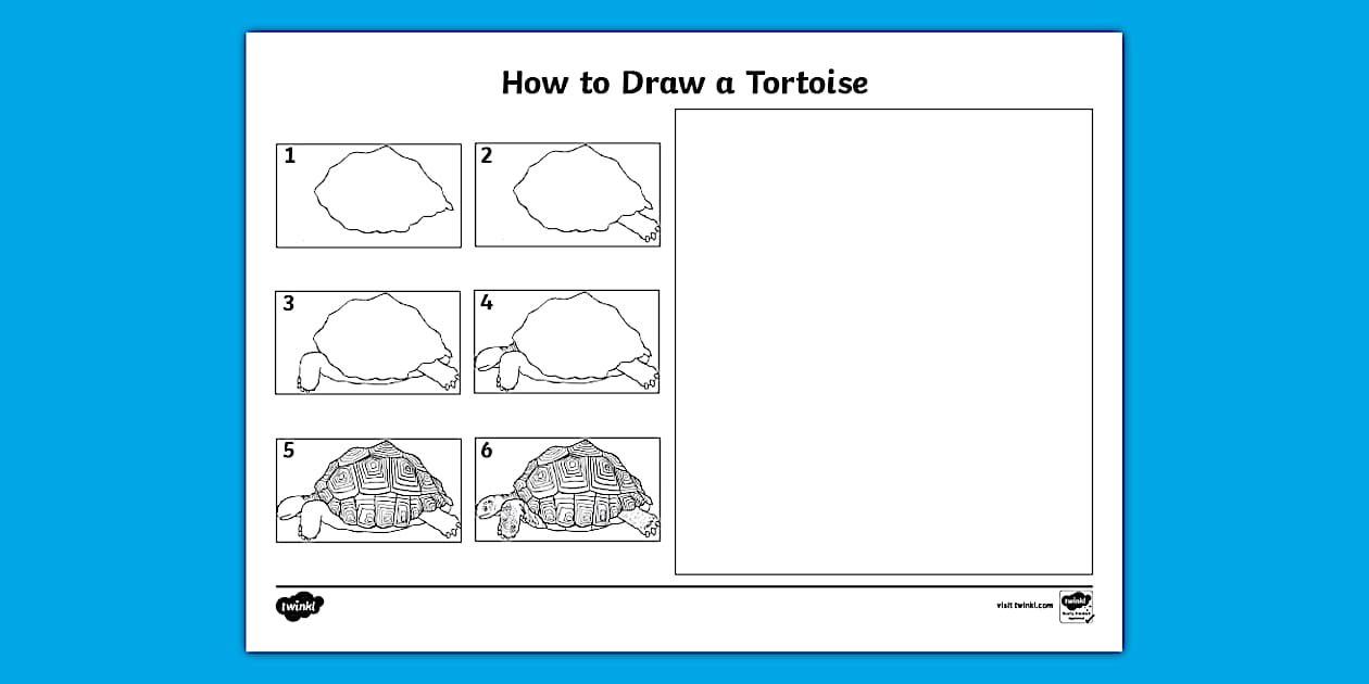 How to Draw a Tortoise Activity (teacher made) - Twinkl