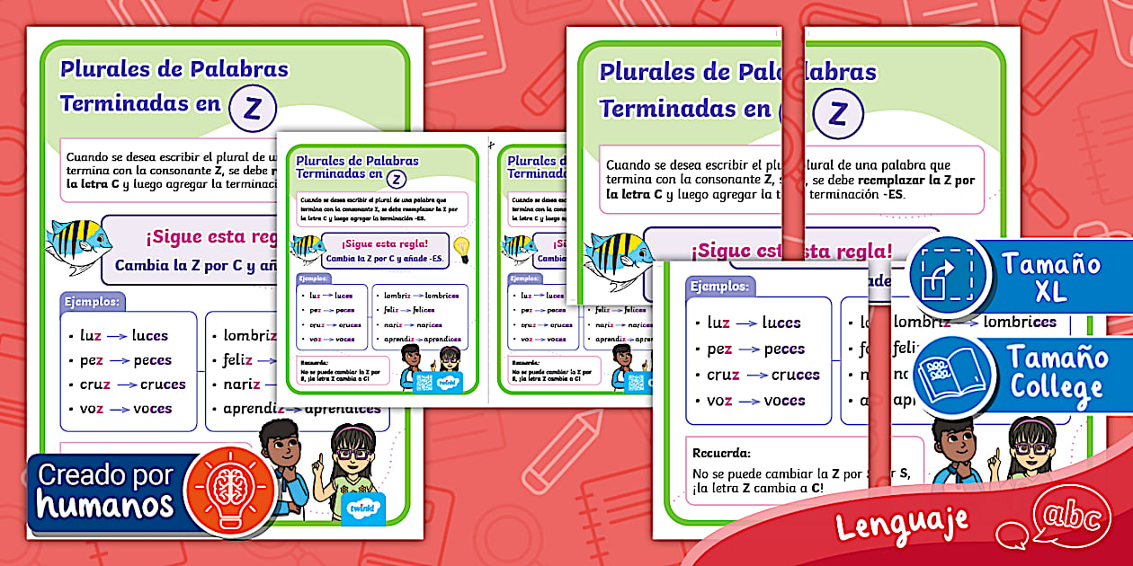 Afiche | Plurales con Z | Lenguaje | 3º Básico | escritura