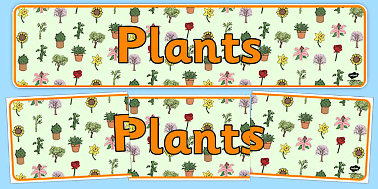 Editable Plants Display Banner (teacher made) - Twinkl