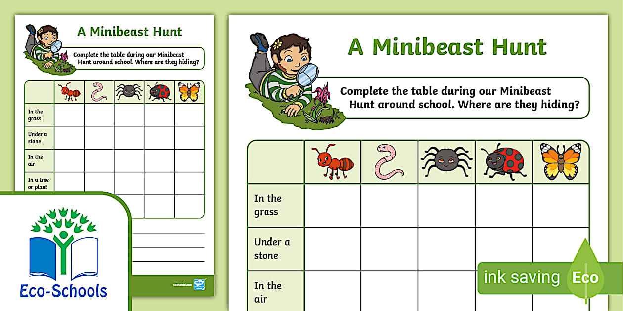 A Minibeast Hunt (teacher made) - Twinkl