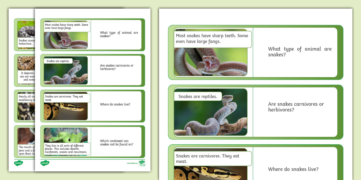 KS1 Snake Facts Loop Cards Game - KS1 - Twinkl