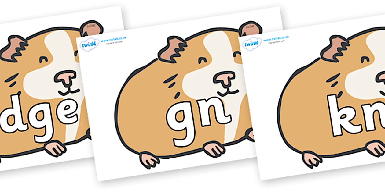 Cursive Silent Letters on Guinea Pigs (teacher made)