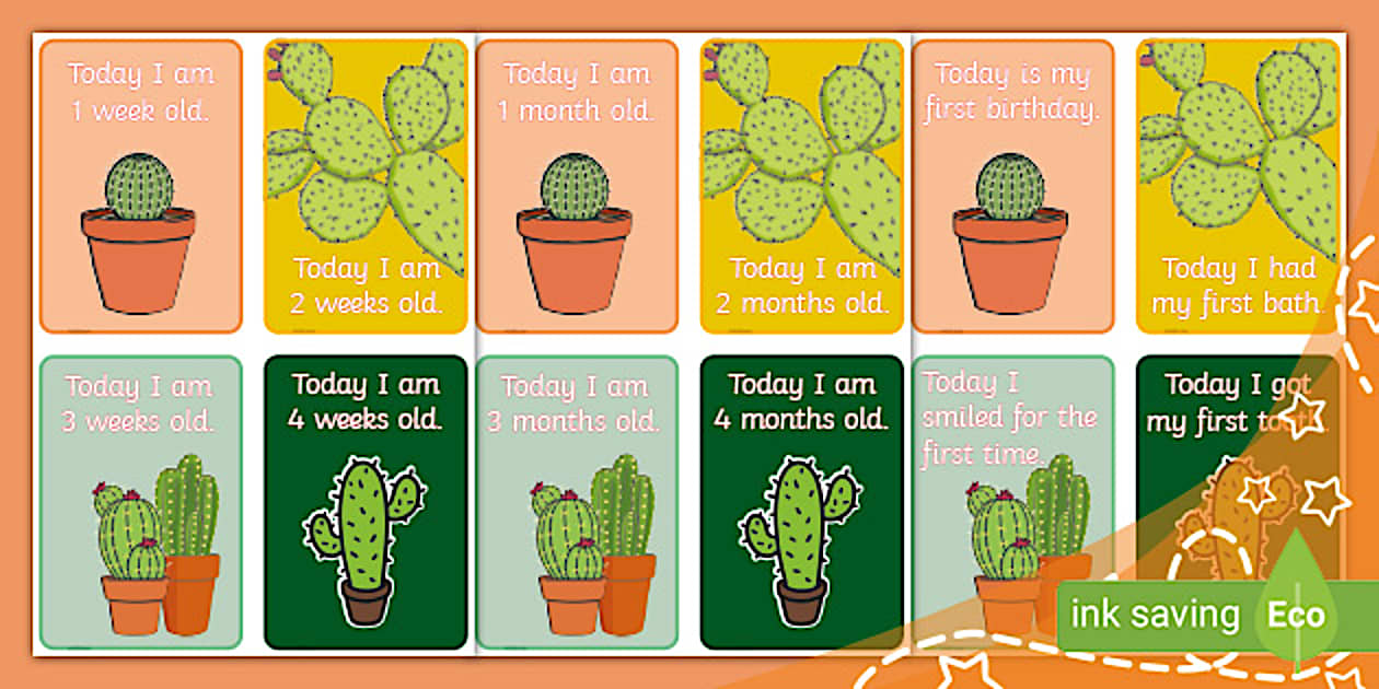 My First Year Milestone Pack - Cactus