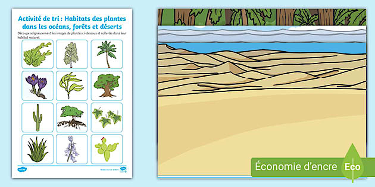 Activité de tri : Habitats des plantes dans les océans, forêts et déserts