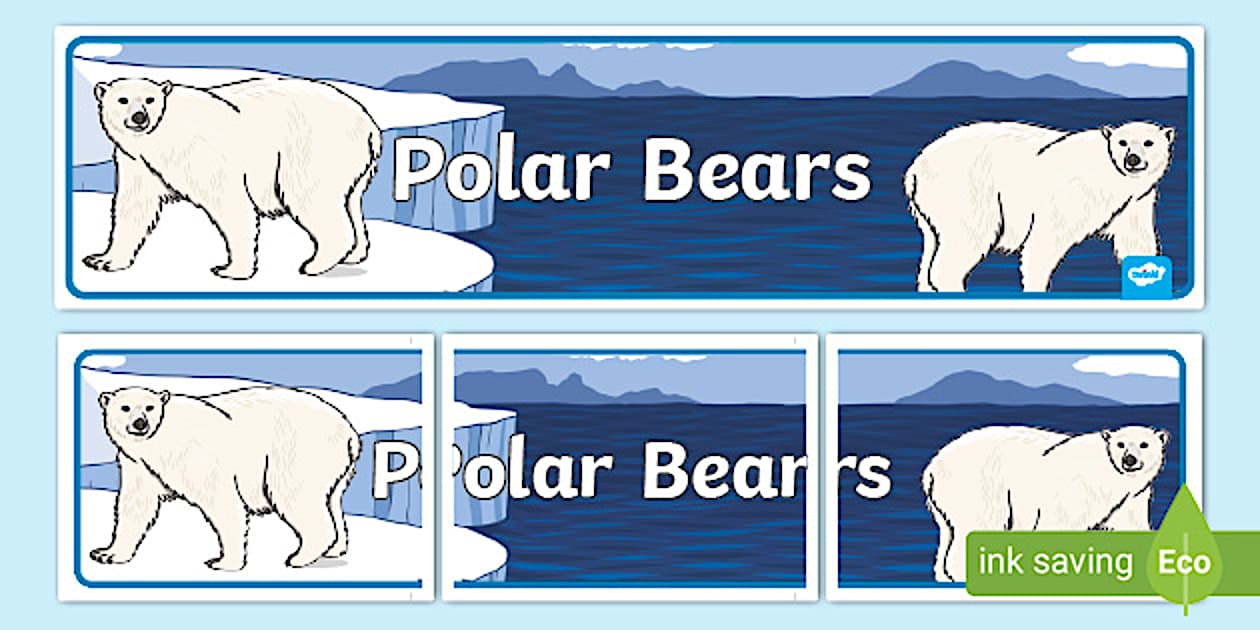Polar Bears Display Banner (teacher made) - Twinkl