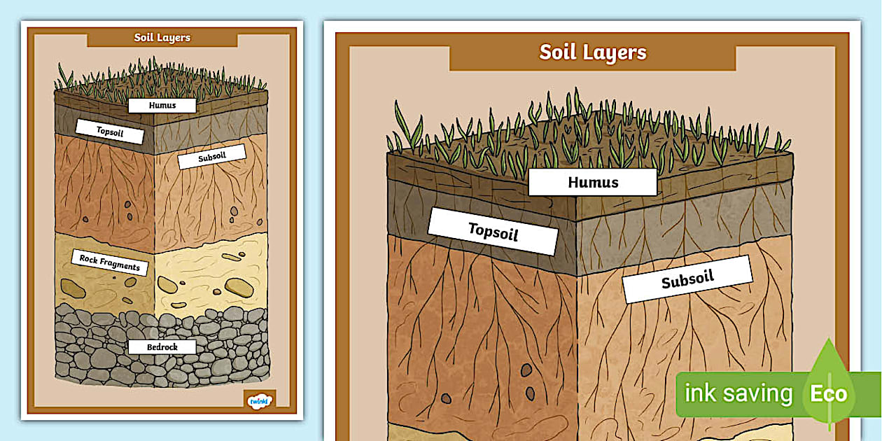 Soil Layers Display Poster (Hecho por educadores) - Twinkl