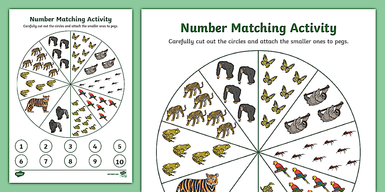 Jungle and Rainforest Peg Number Matching Activity - Twinkl