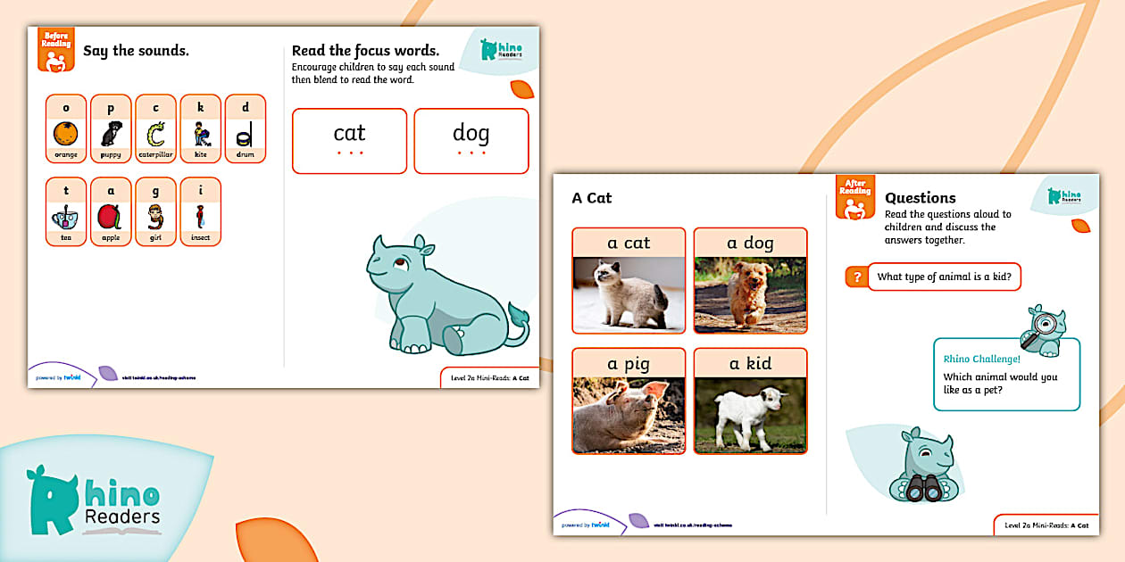 Rhino Readers Intervention: A Cat (Level 2a) - Twinkl