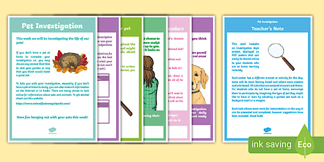 Pet Investigation Remote Learning Project 3-6 (Teacher-Made)