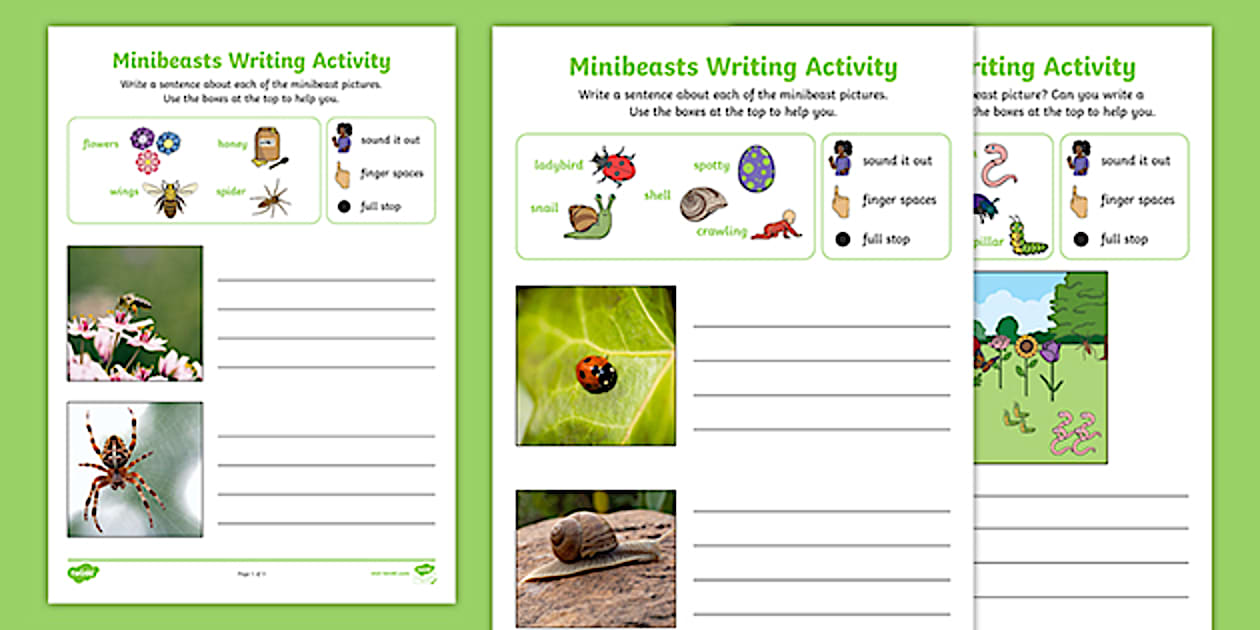 Black and White Minibeast Early Writing Activity - Twinkl