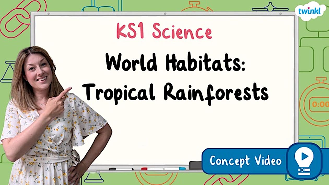 World Habitats: Tropical Rainforests | KS1 Science Concept Video