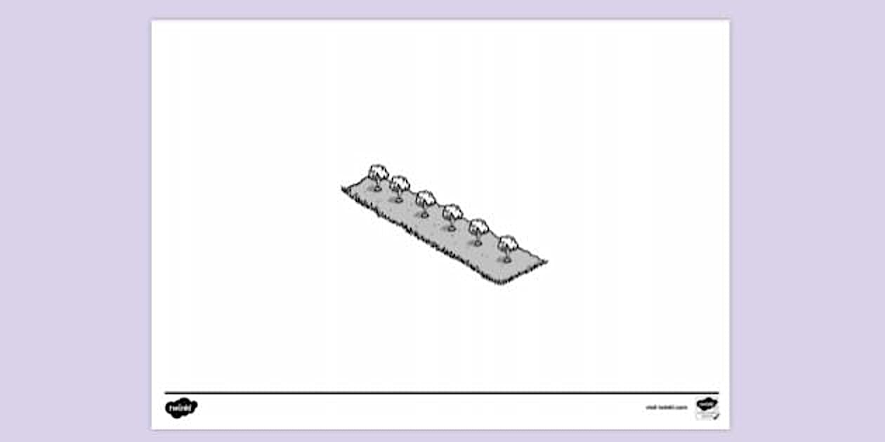 Row of Carrots Colouring | Colouring Sheets (Teacher-Made)