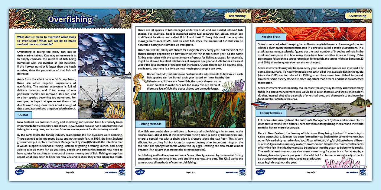 Human Impact on Overfishing Fact File (teacher made)