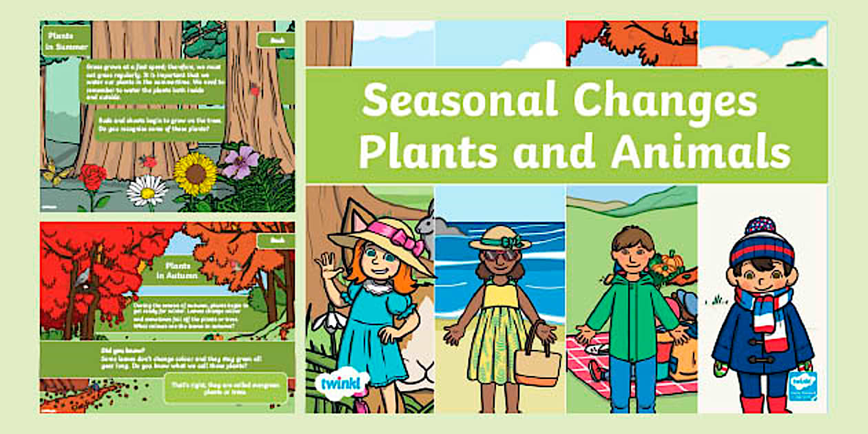 Seasonal Changes in Plants and Animals PowerPoint - Twinkl
