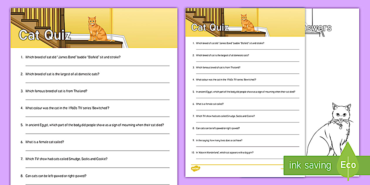 Cat Quiz Cards (teacher made) - Twinkl
