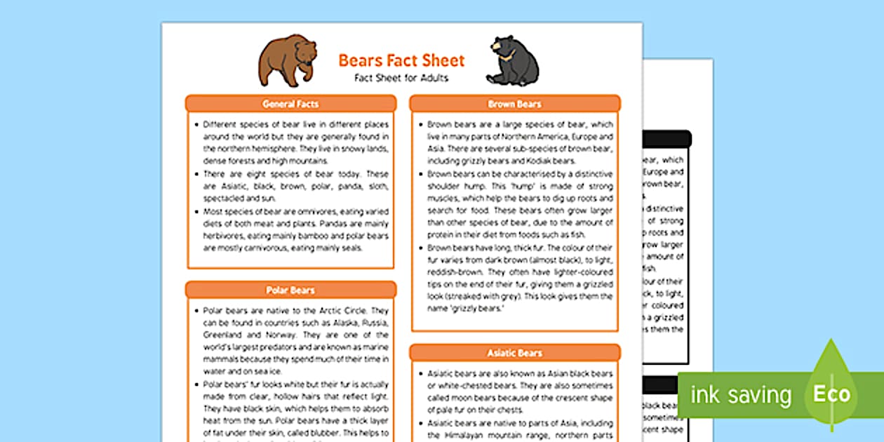 Bears Fact Sheet for Adults (teacher made) - Twinkl