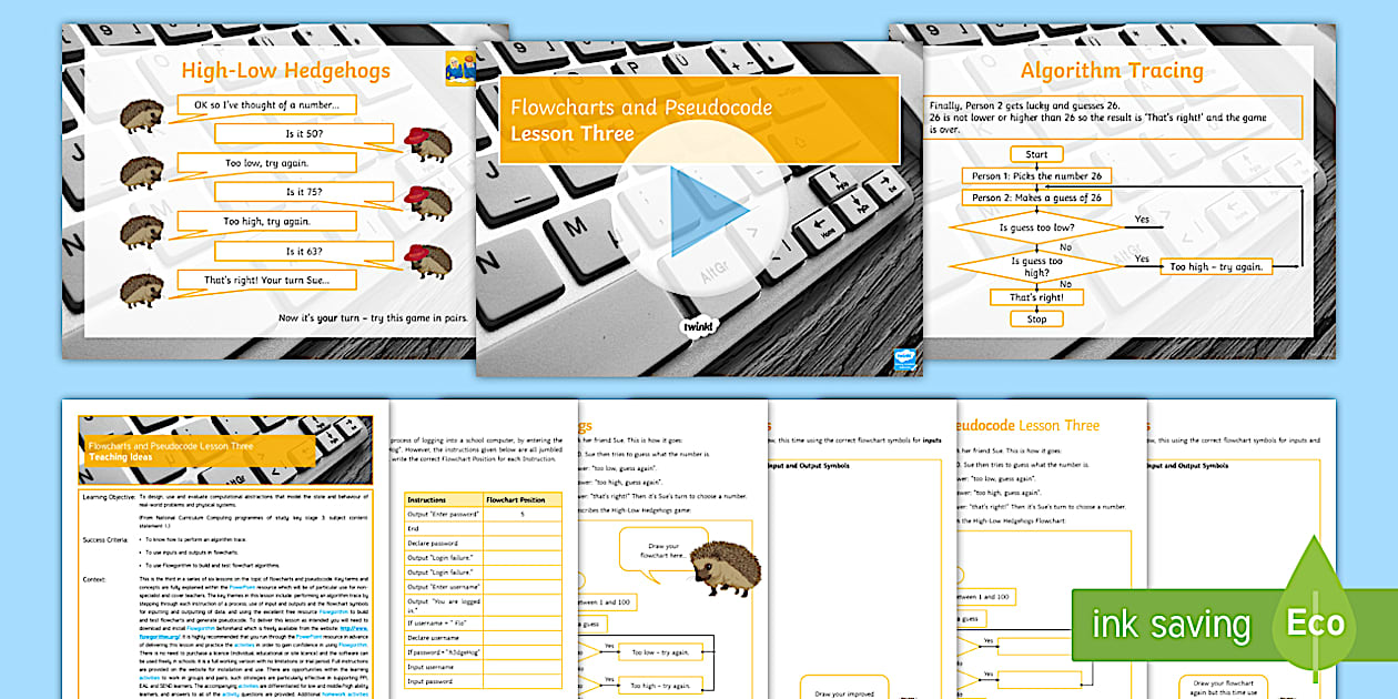 Flowcharts and Pseudocode: Lesson 3 (teacher made) - Twinkl