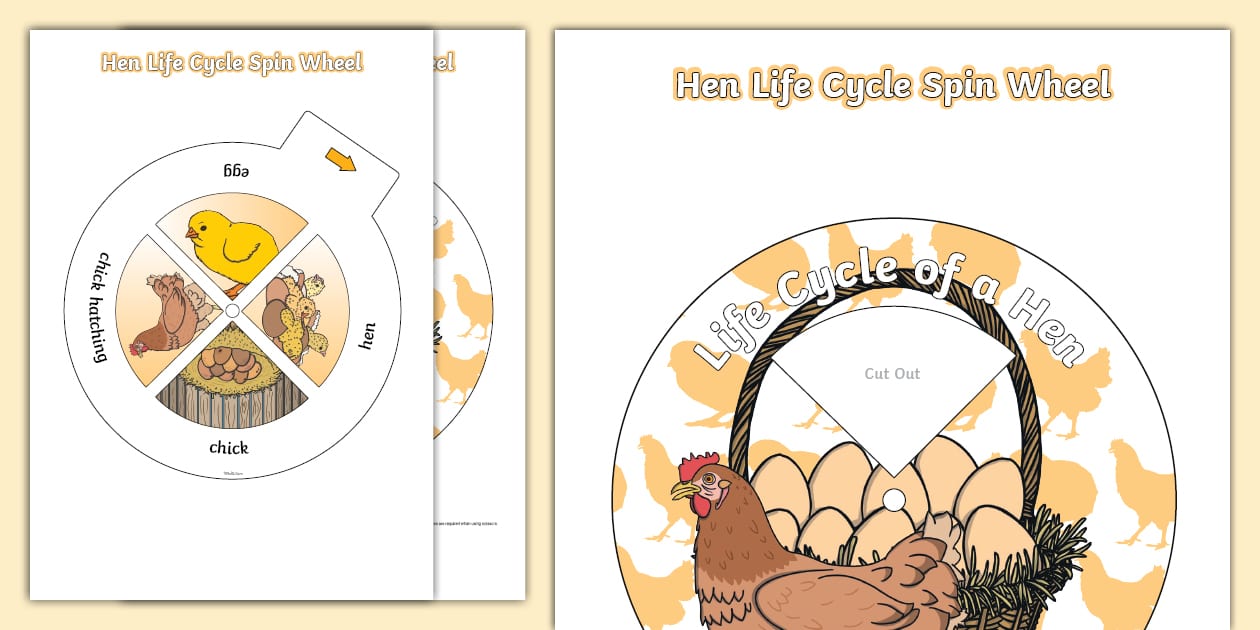 Hen Life Cycle Spin Wheel | Twinkl | Life Cycles - Twinkl