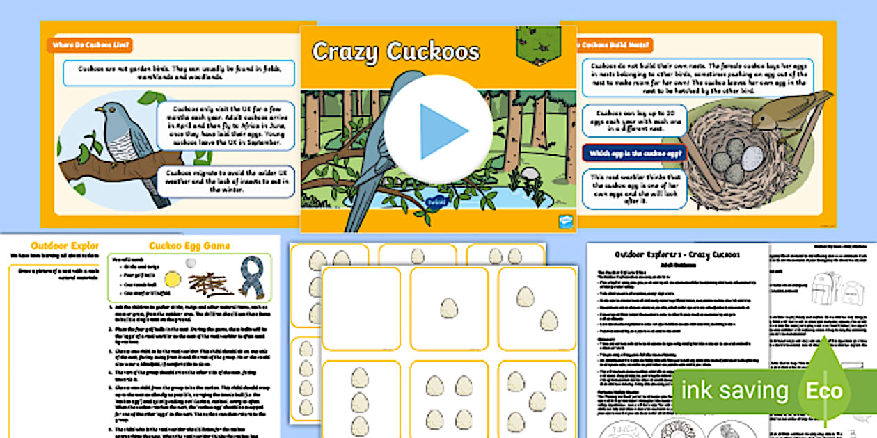 Outdoor Explorers KS1 Summer Lesson 5 Crazy Cuckoos - Twinkl
