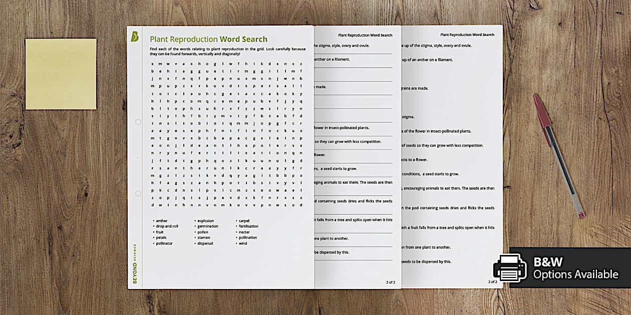 KS3 Reproduction: Plant Reproduction Word Search | Beyond