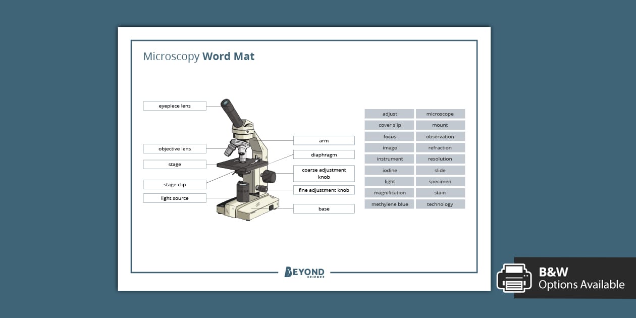 Microscopy Word Mat | KS3 Biology | Beyond Science | Twinkl