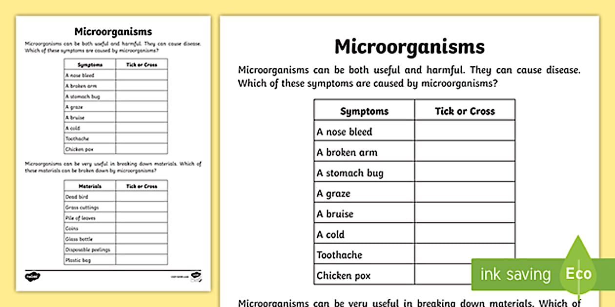 Editable Microorganisms Worksheet (teacher made) - Twinkl