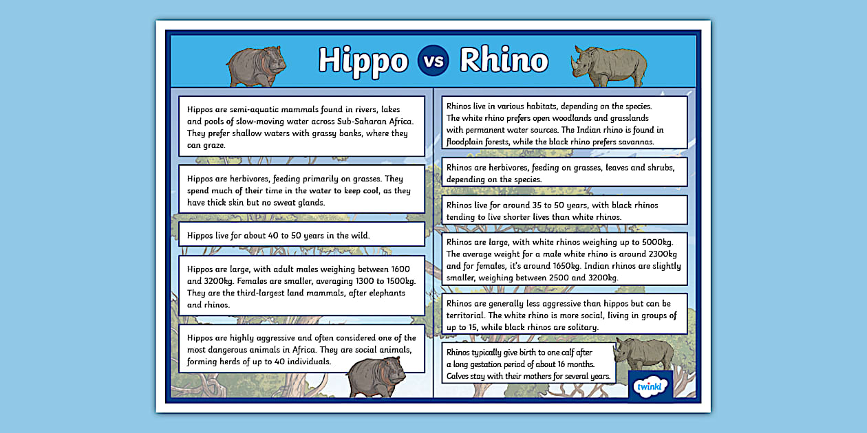 * NEW * Hippo vs Rhino Fact File (professor feito) - Twinkl