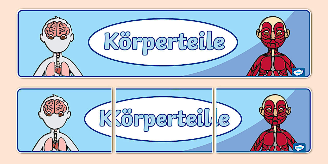 Body Parts - German Display Banner (teacher made) - Twinkl
