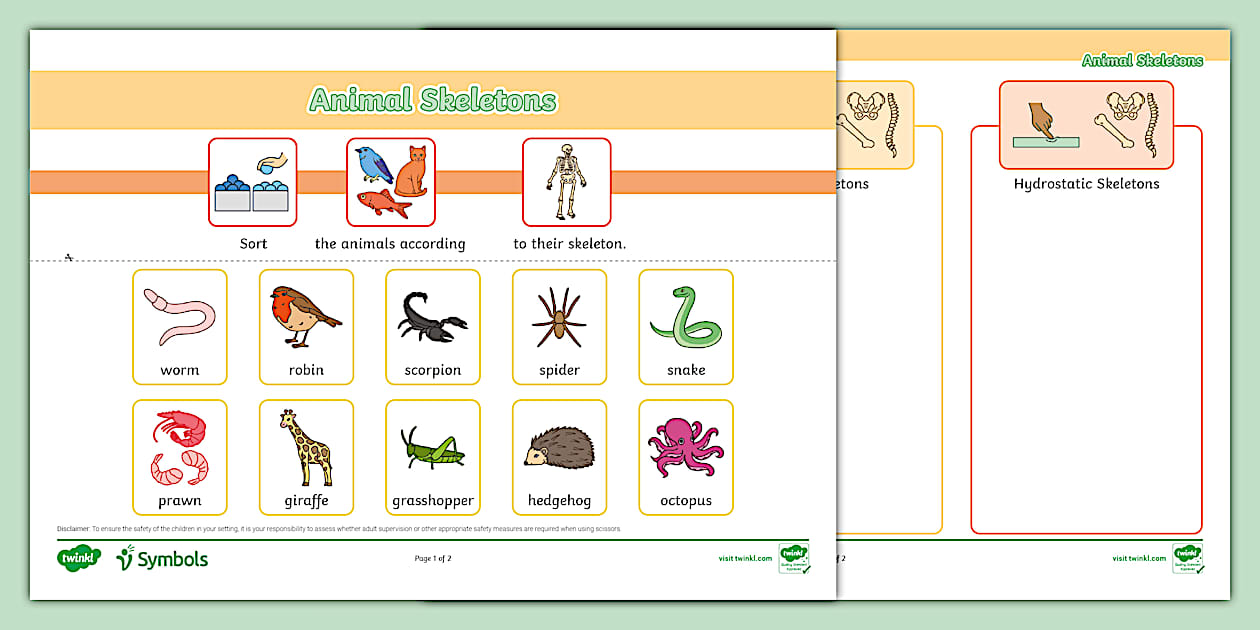 Twinkl Symbols: Science: Year 3: Animal Skeletons Activity