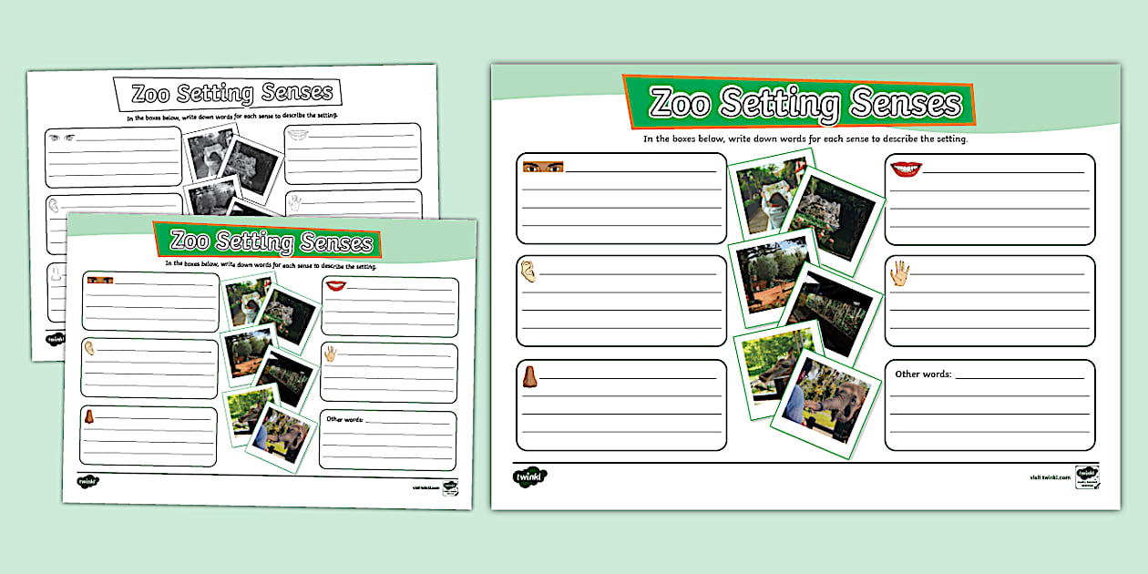 Zoo Senses Mind Map (teacher made) - Twinkl