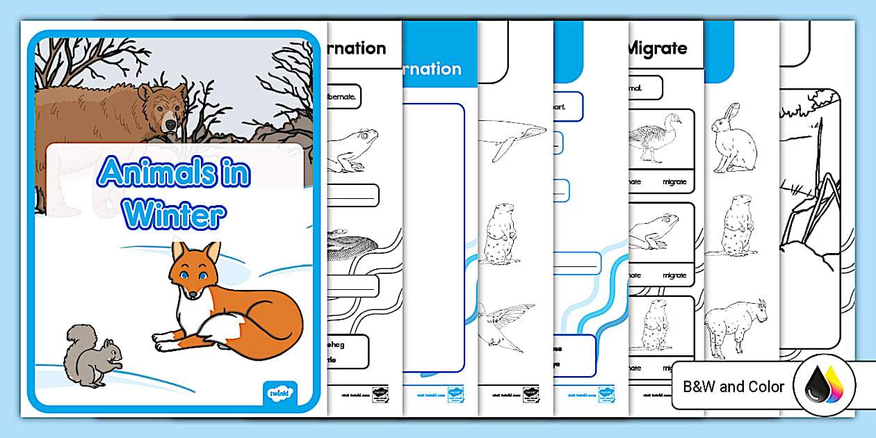 Animals in Winter Activity Booklet for K-2nd Grade - Twinkl