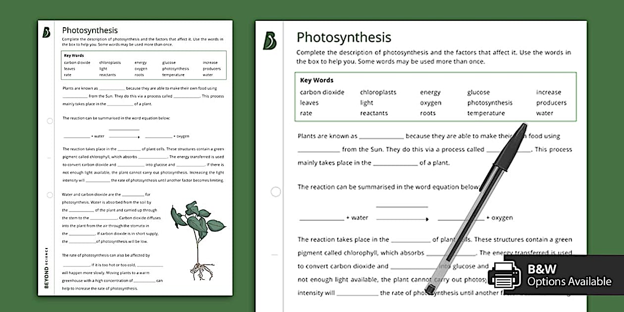 Factors Affecting Photosynthesis Gap Fill Worksheet - Twinkl
