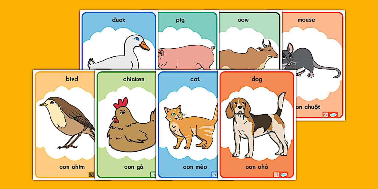 Poster Từ Vựng Về Động Vật Bằng Tiếng Anh- Tài Liệu Song Ngữ