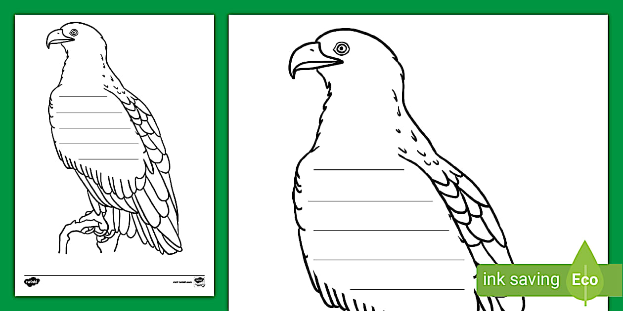 Eagle Writing Template (Teacher-Made) - Twinkl