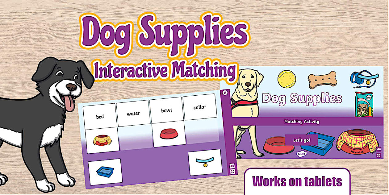 Dog Supplies Interactive Matching