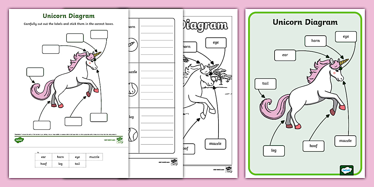 Unicorn Diagram Pack (teacher made) - Twinkl