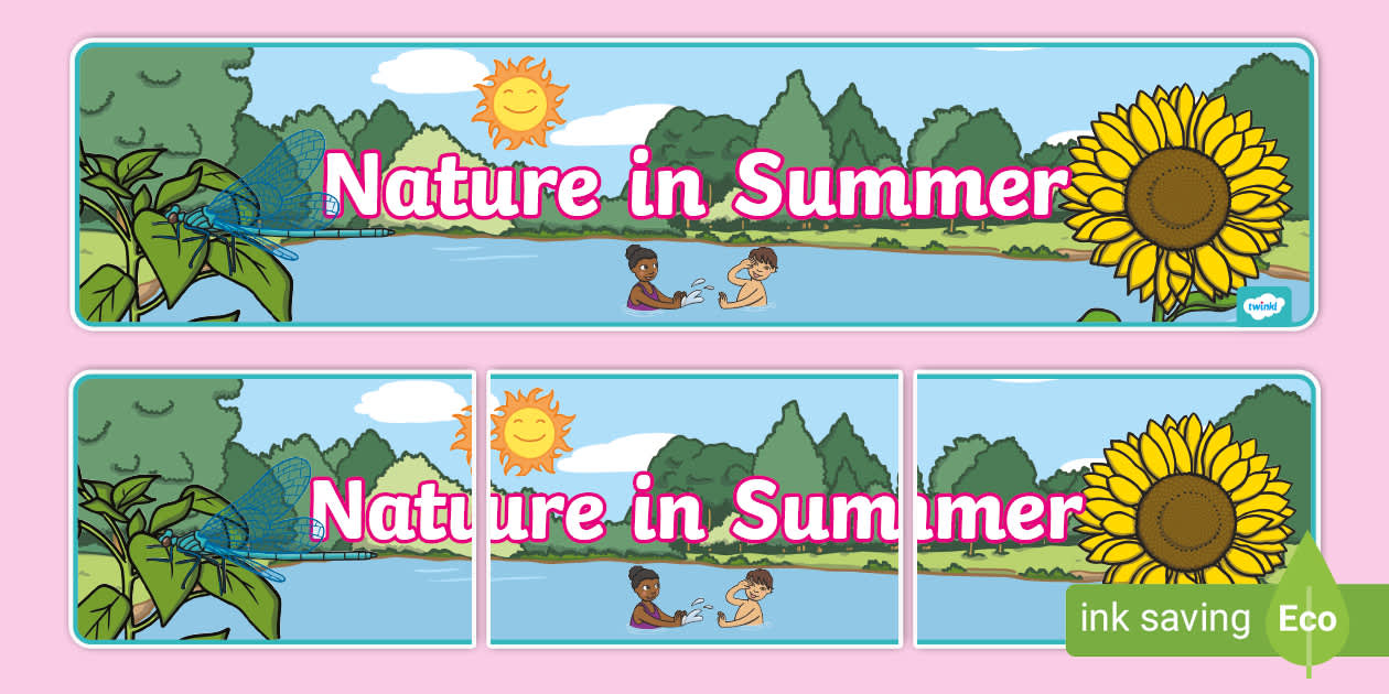 Nature in Summer (teacher made) - Twinkl