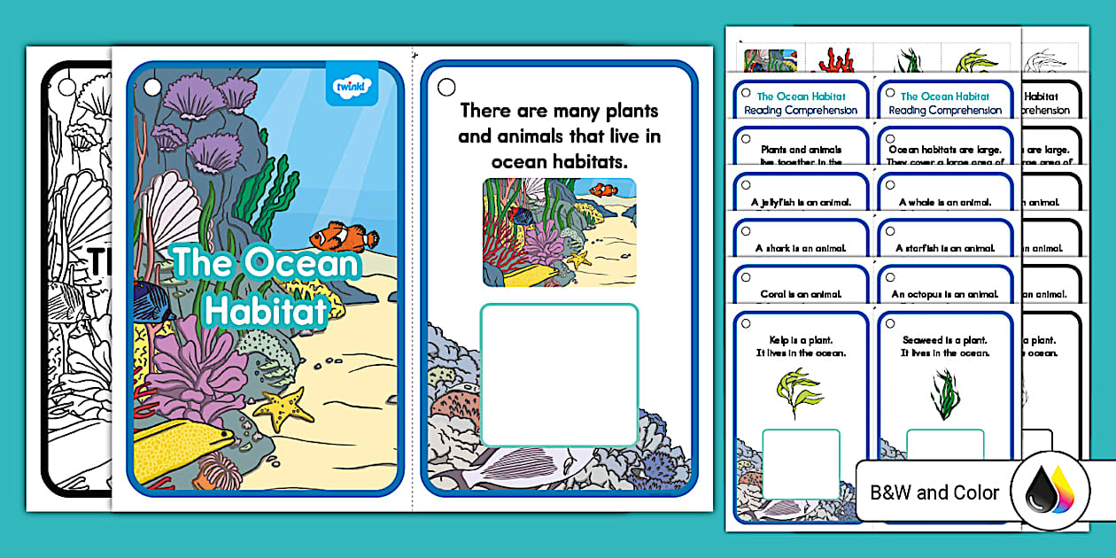 Ocean Habitat Reading Passage Activity | Twinkl USA - Twinkl