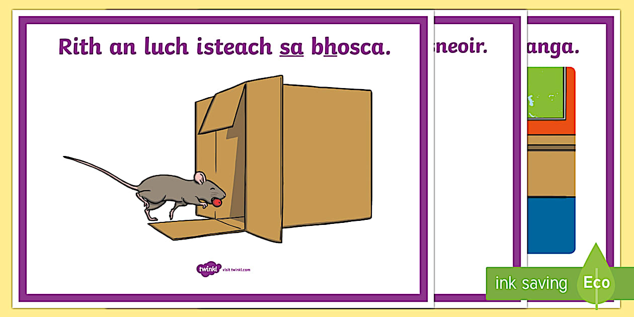 Gramadach na Gaeilge, Sa Display Posters-Irish - Twinkl