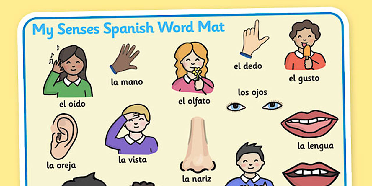 My Senses KS1 Body Parts Word Mat Spanish - Twinkl