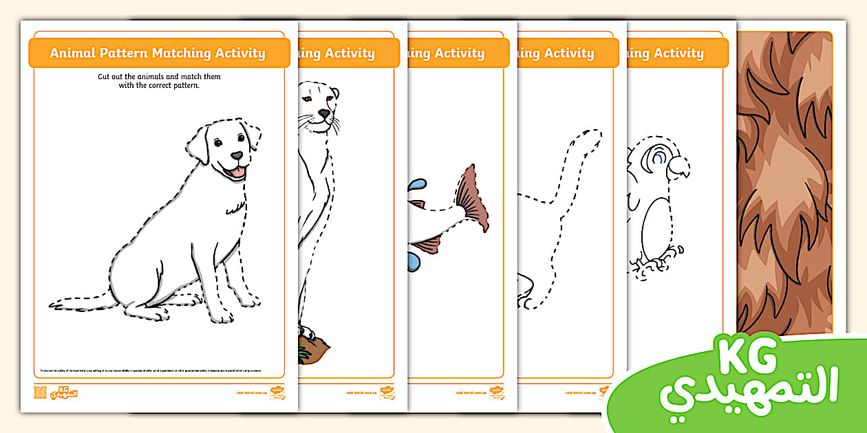 Animal Pattern Matching Activity (Teacher-Made) - Twinkl