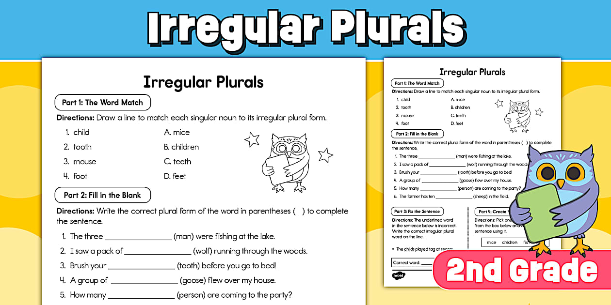 Second Grade Irregular Plurals Worksheet