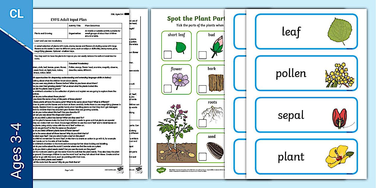 EYFS Plant Detectives Adult Input Plan and Resource Pack
