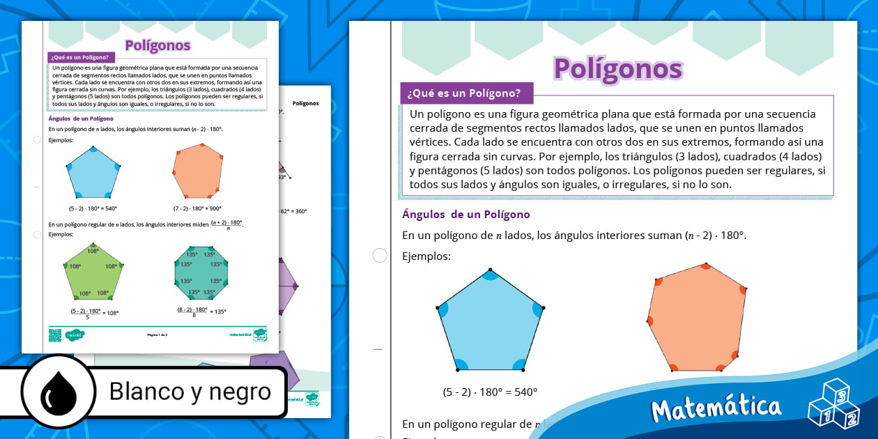 Ficha Informativa | Ángulos en Polígonos | 7° | Matemáticas